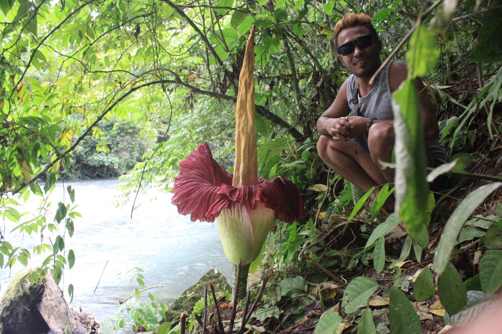 Batu Katak, Wisata Bunga Langka dan Hewan Liar - Orbitdigitaldaily.com