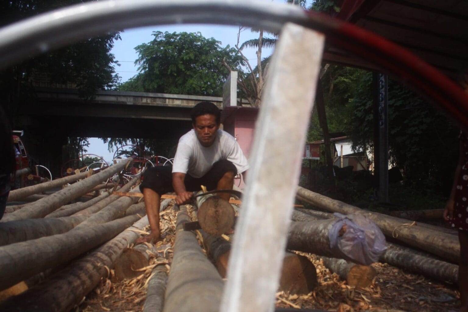 Penjualan Batang Pohon Pinang untuk 17 Agustusan Ramai - Orbitdigitaldaily